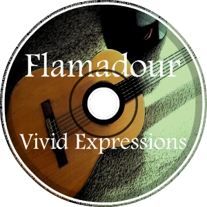 Vivid Expressions (Demo Album)