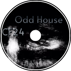 -Odd House-