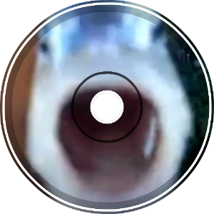 GeometryDash - Ruler beast phase 2