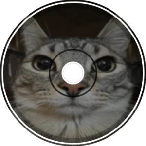 gato (loop)