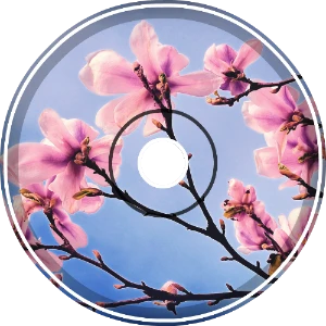 Windy Spring