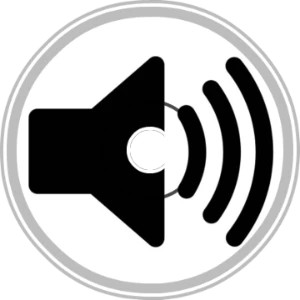 THE SPRINGLOCK INCIDENT