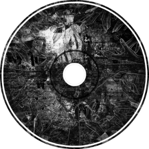 ANGEL 92 (feat. Yuma, Yokune Ruko)