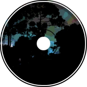 The destruction of the core