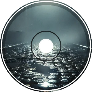 Hiding and striking - BACHFLY20