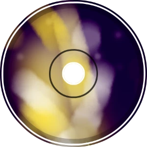 they are changing so fast