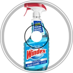 Window Cleaner (French House?) (Jamuary '25)