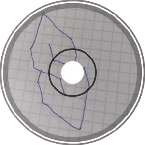 another test song (2025)