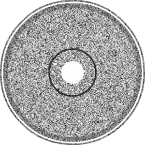 The Static Reign (Full Album) - TPP