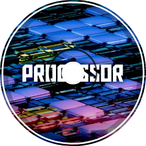 PRGX - Processor