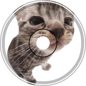 soundcloud type beat