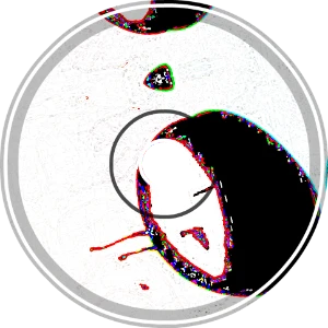 Sensationally Qualmish (instruments)