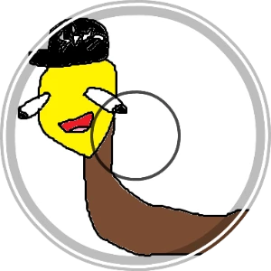 AIM / Slugg Dogg SMS²