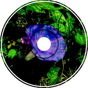 Broken Voices- Mr. Germs