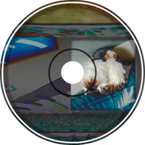 Also, be safe — we agreed to meet at 2, you're not beating the allegations!