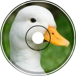 Duck Duck Goose